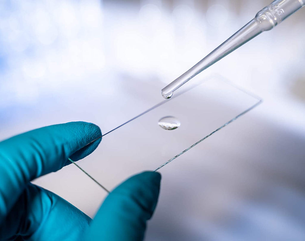 AmScope BS-72P-100S-22 72 Pieces of Pre-Cleaned Blank Microscope Slide ...